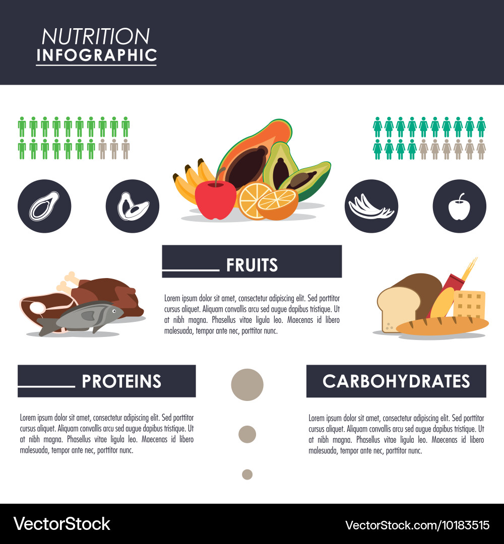 Infographic icon nutrition design graphic Vector Image