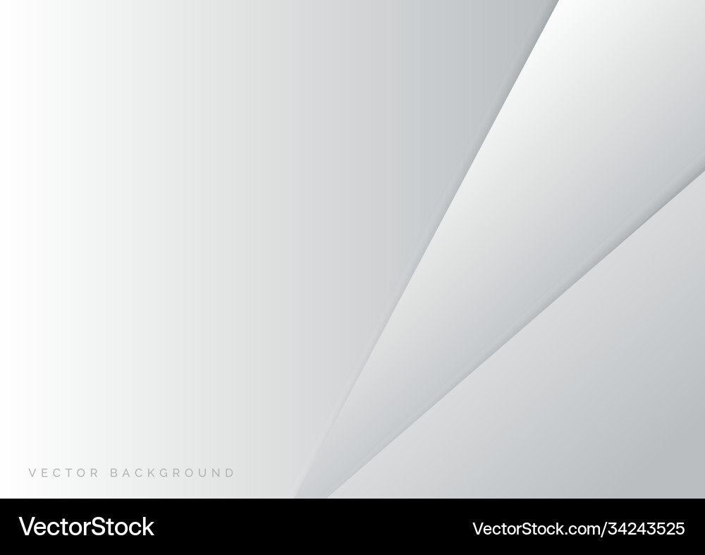 Abstract modern gray and white design paper cut Vector Image