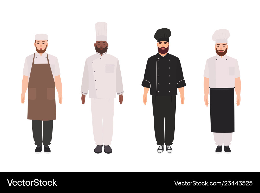 Bundle of chefs cooks professional restaurant Vector Image