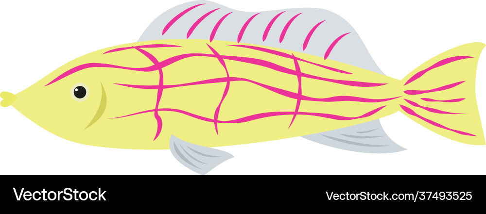 Cartoon fish icon on white background Royalty Free Vector