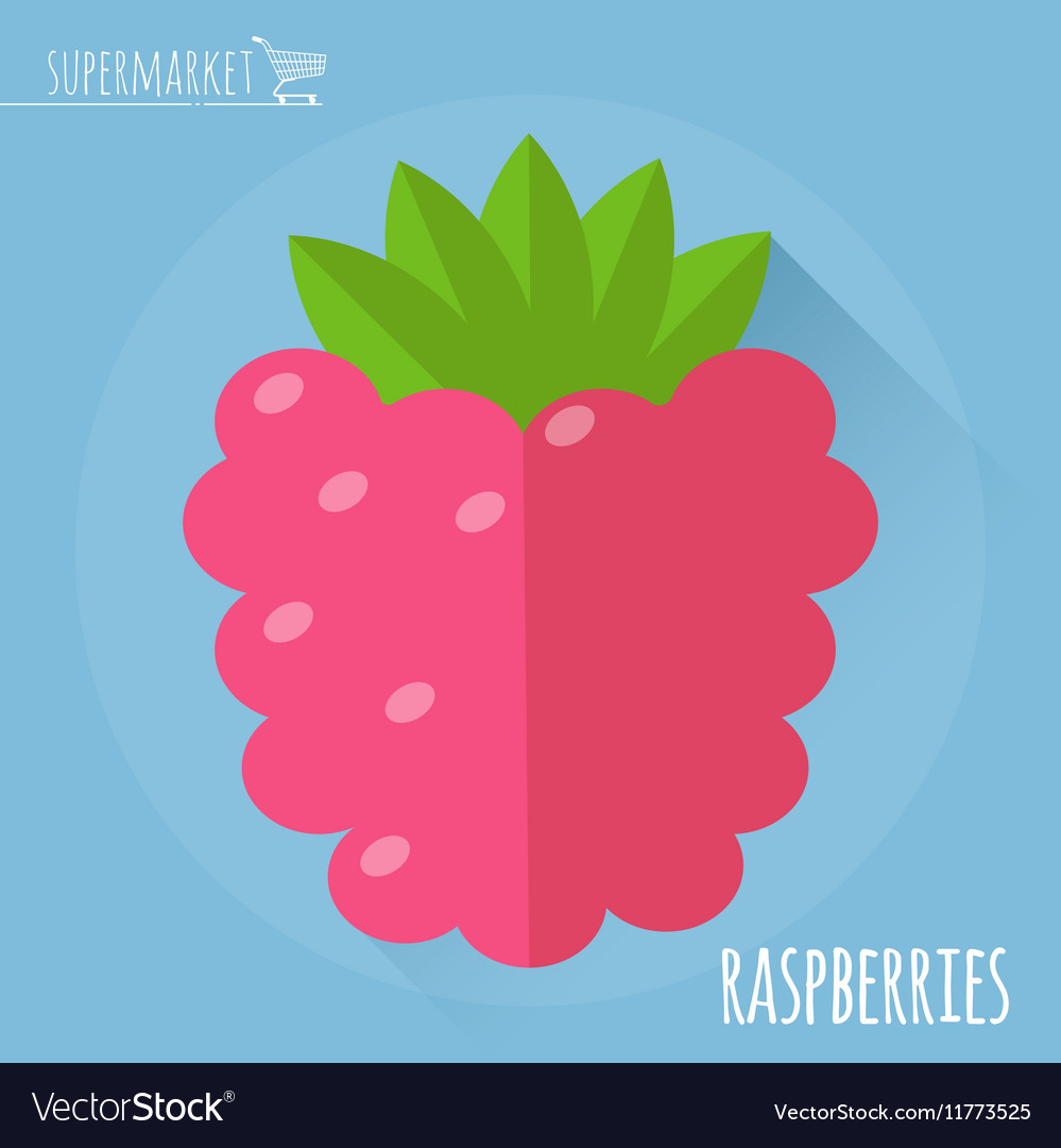 Raspberry icon Royalty Free Vector Image - VectorStock