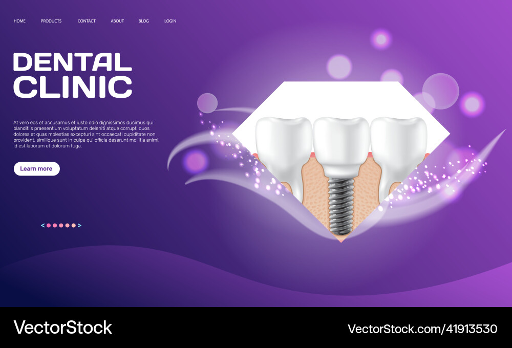 Human gum with healthy teeth and denture Vector Image