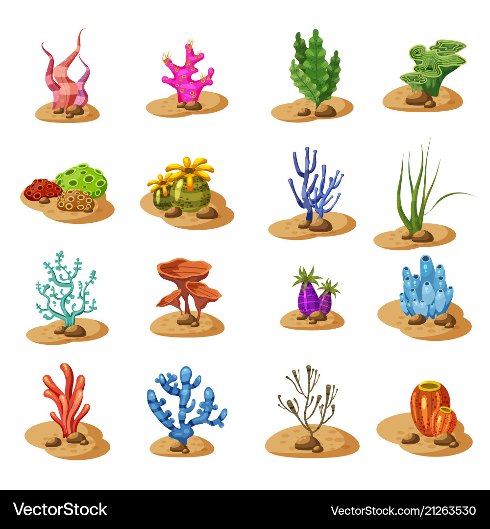 Algae Plant Drawing