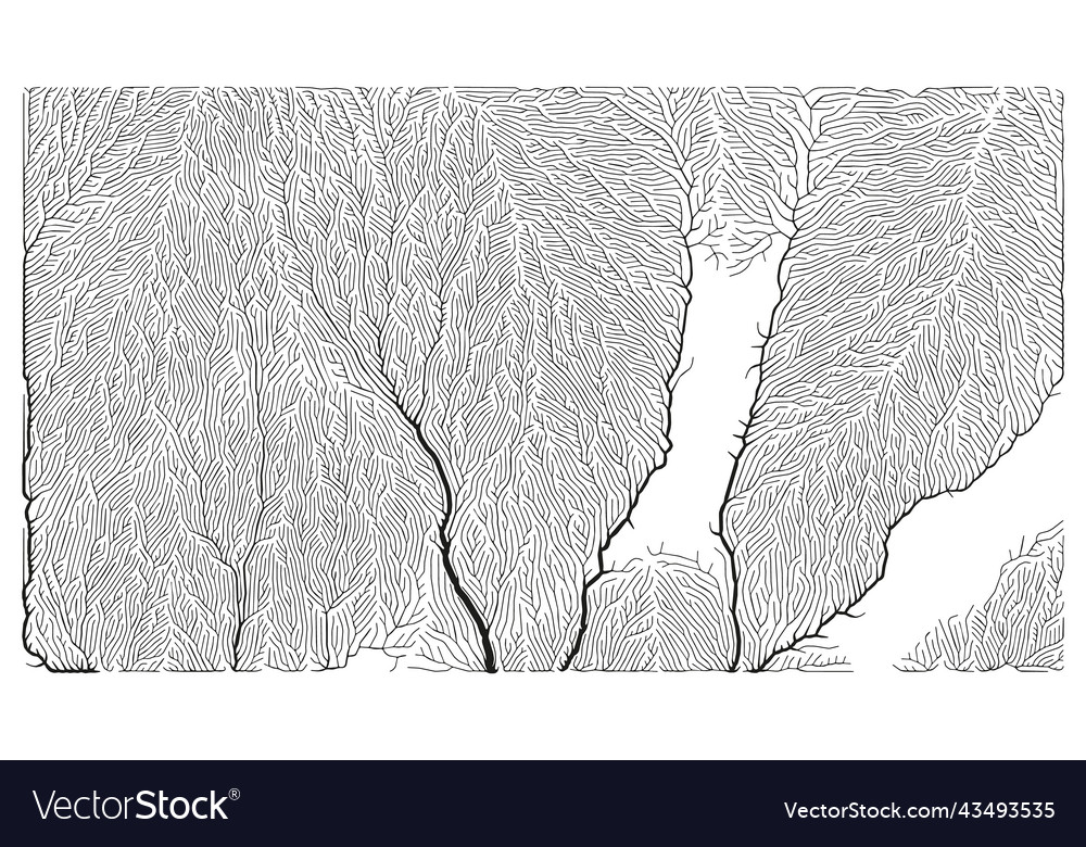 Growth Pattern Generative Branching Structure Vector Image
