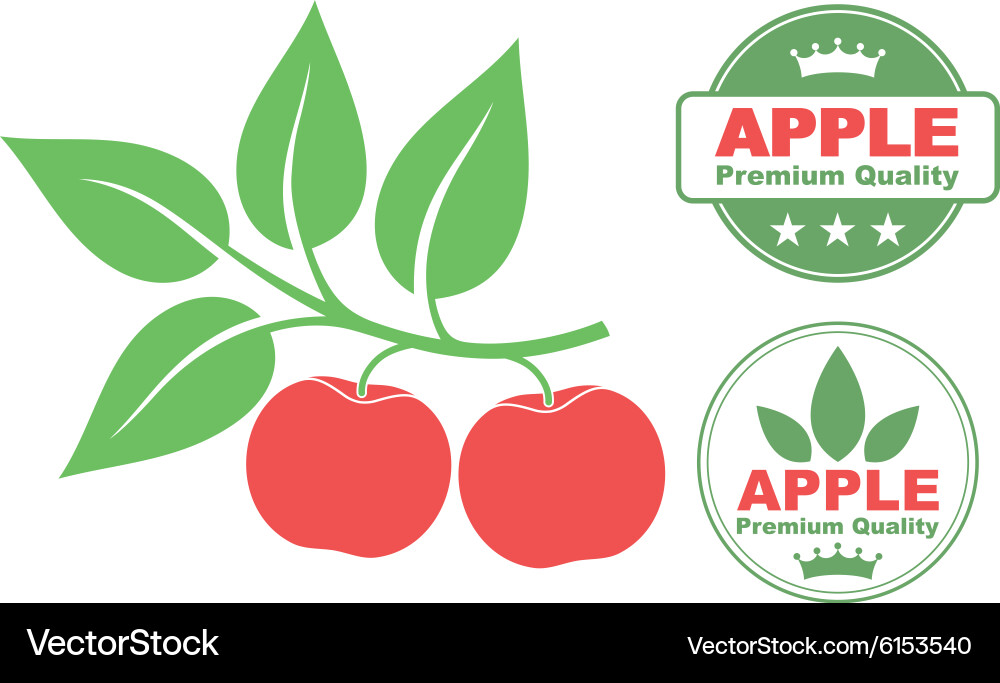 Apple Royalty Free Vector Image - VectorStock