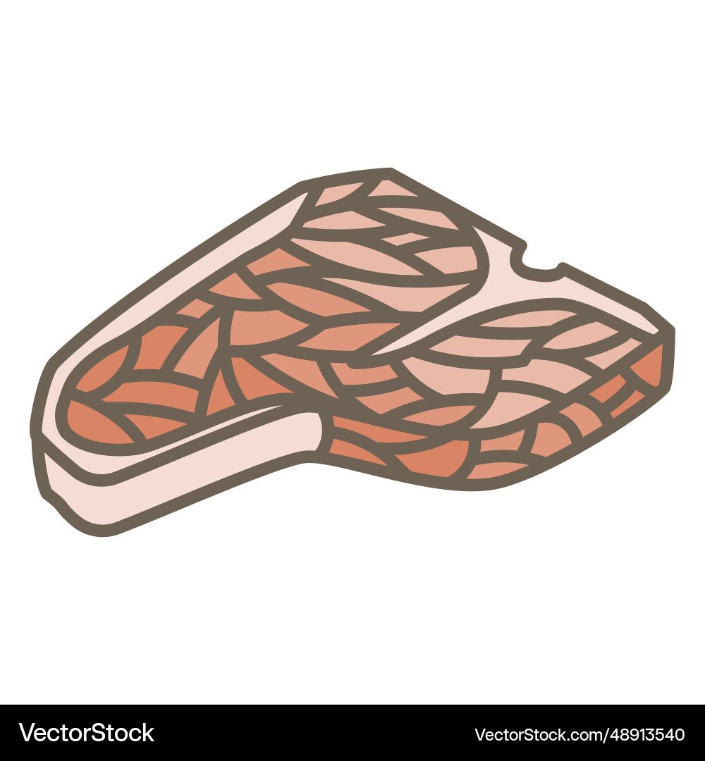 Meat steak geometric color stroke Royalty Free Vector Image