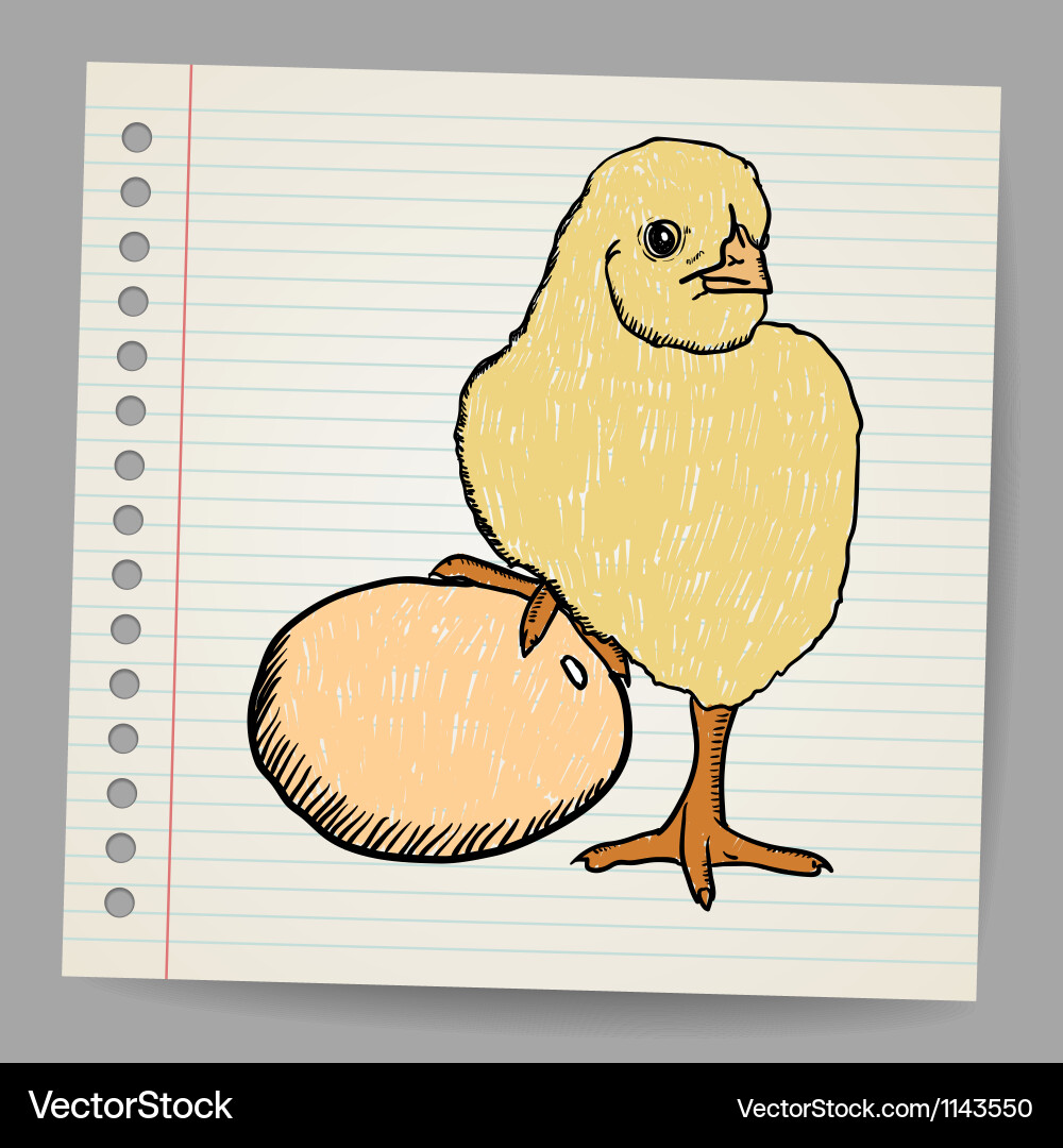 Egg and chicken in doodle style Royalty Free Vector Image