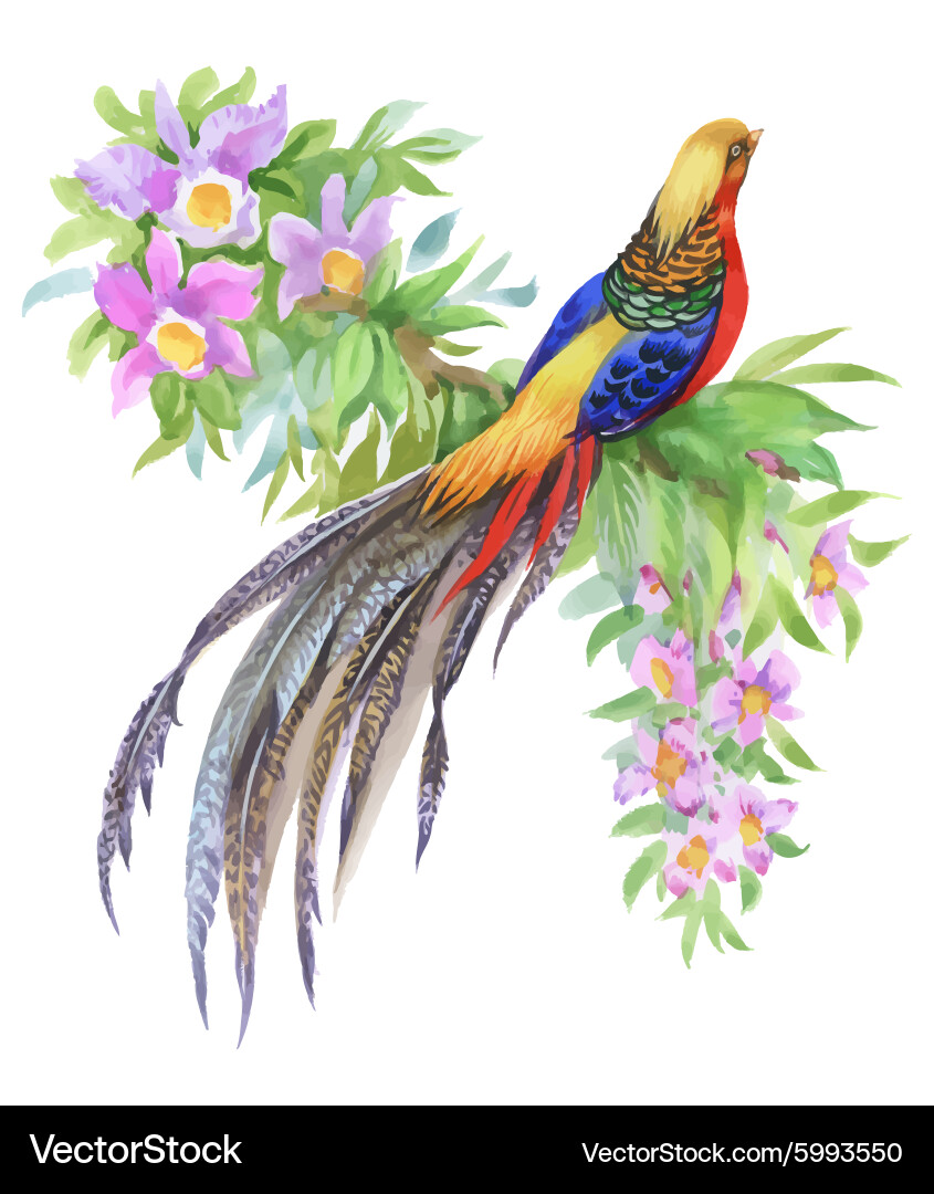 Hand drawn pheasant in grass and flowers Vector Image