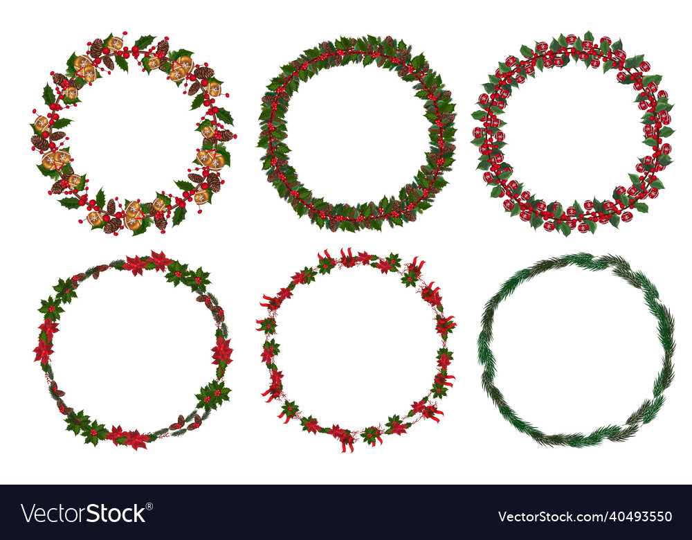 Set of christmas wreath with winter floral Vector Image