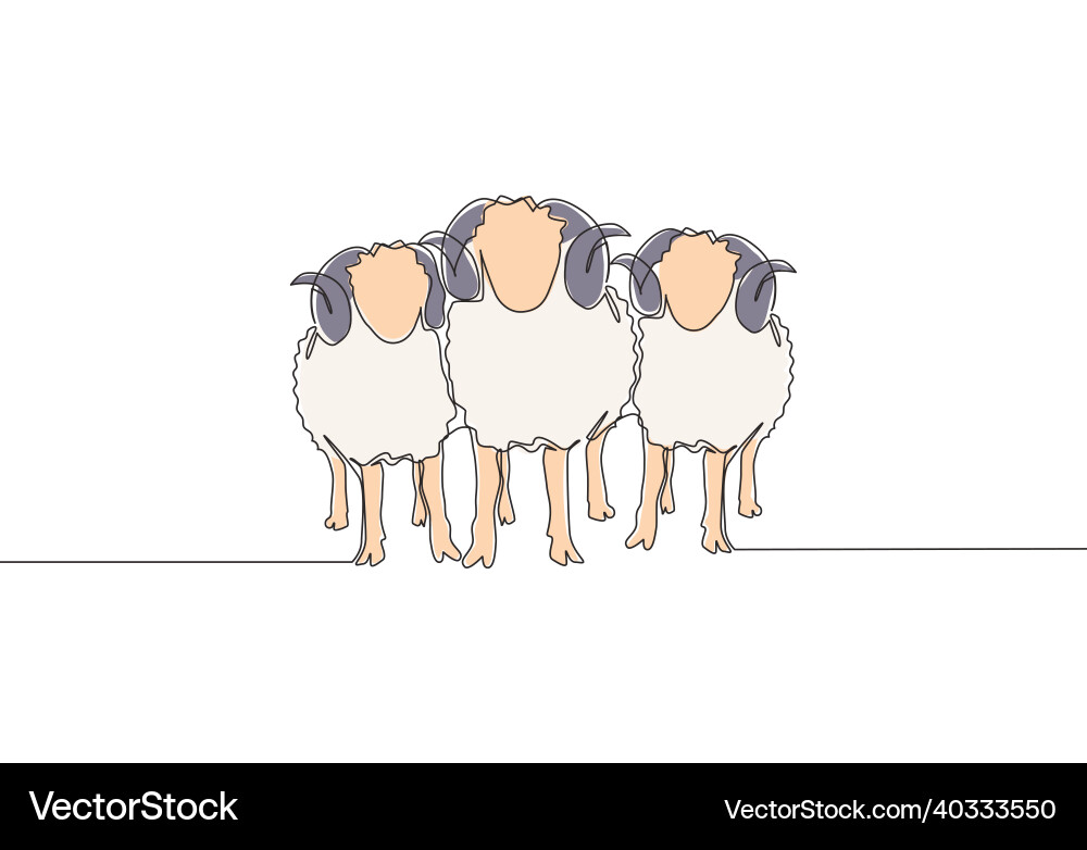 Single continuous line drawing of three sheeps Vector Image