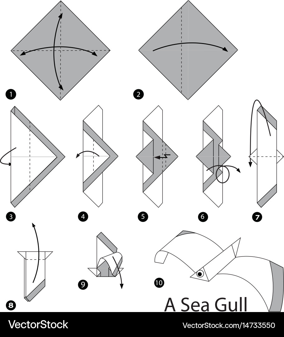 Step by instructions how to make origami Vector Image