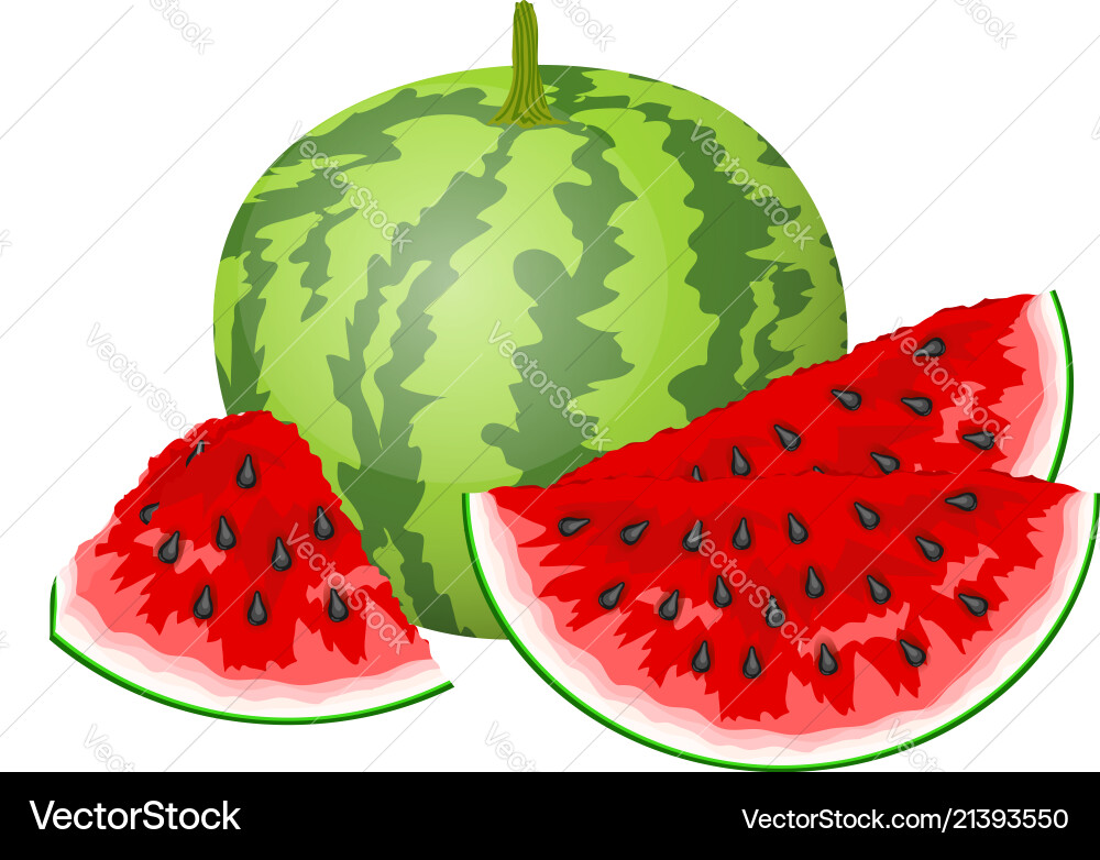 Sweet watermalon sliced stock Royalty Free Vector Image