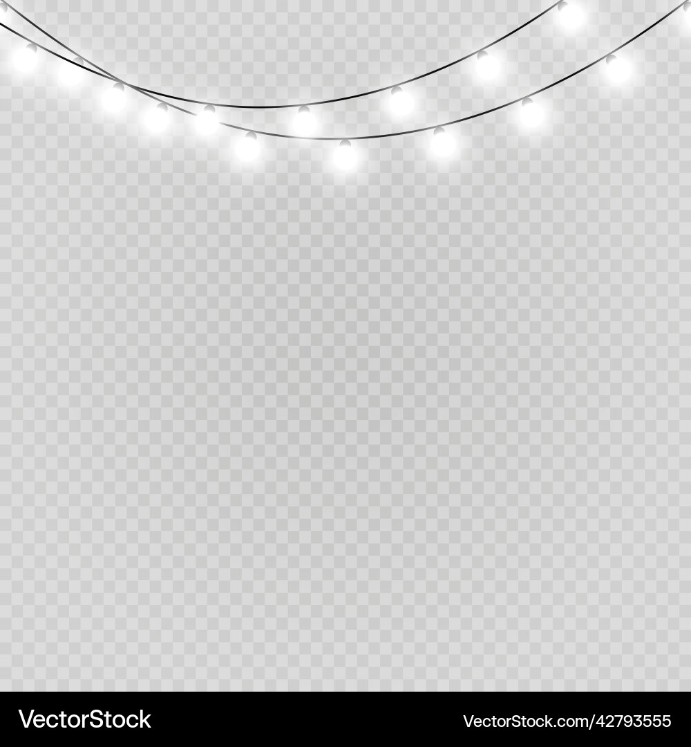 Christmas lights isolated on transparent Vector Image