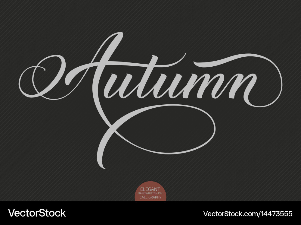 Hand drawn lettering - autumn elegant modern Vector Image