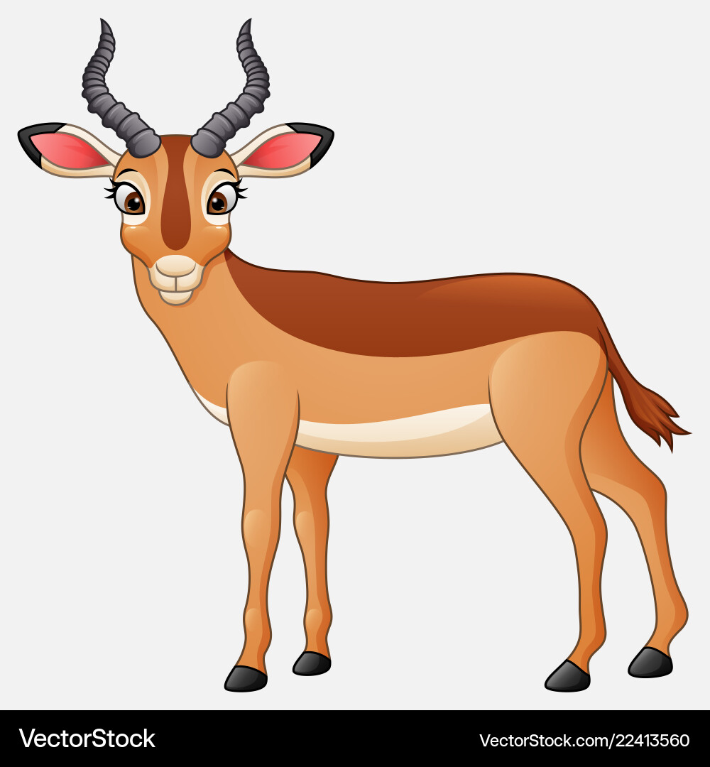 Cartoon impala isolated on white background Vector Image