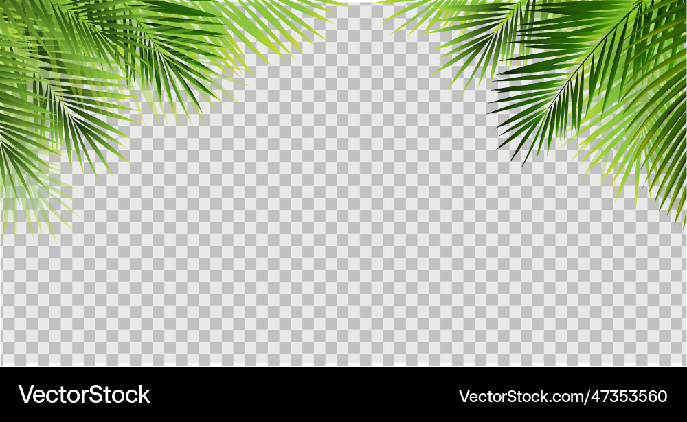 Tropical palm leaves frame and transparent Vector Image