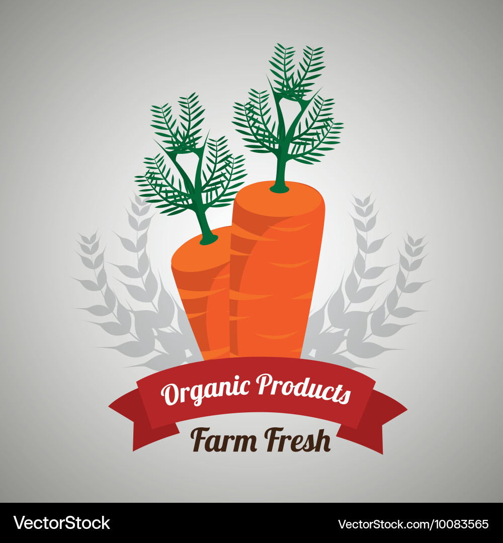 Organic products farm fresh Royalty Free Vector Image