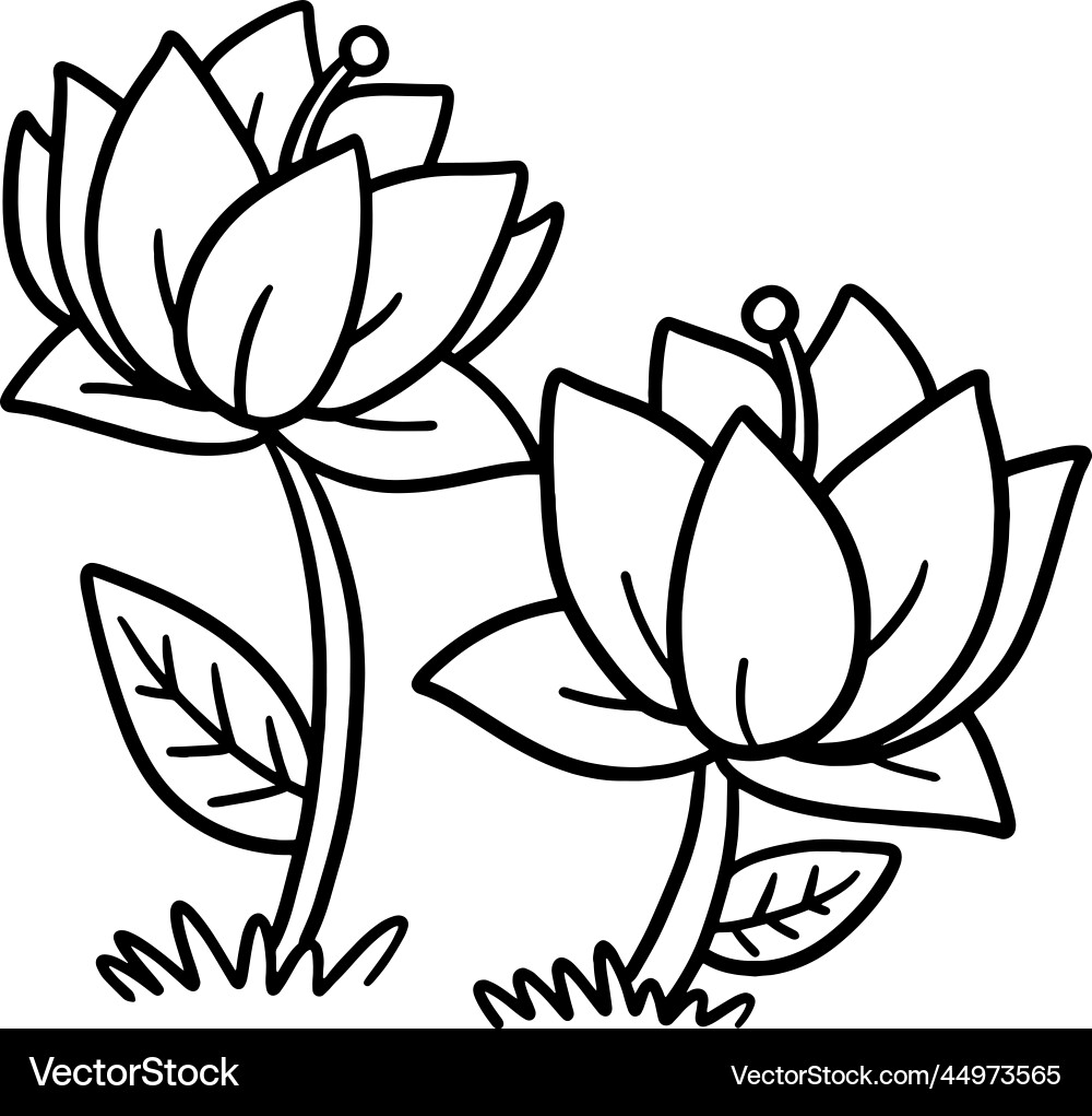 Spring flower isolated coloring page for kids Vector Image