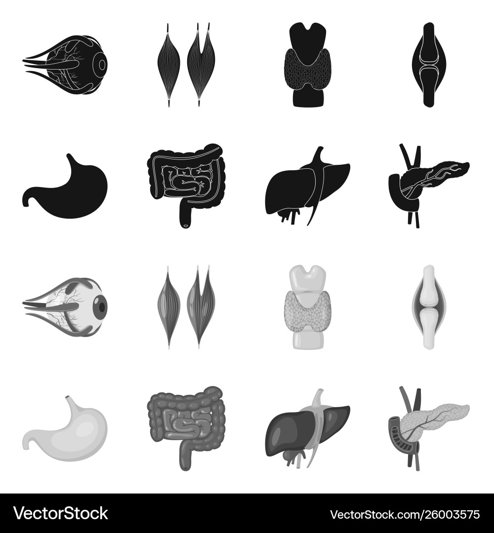 Biology and scientific logo Royalty Free Vector Image