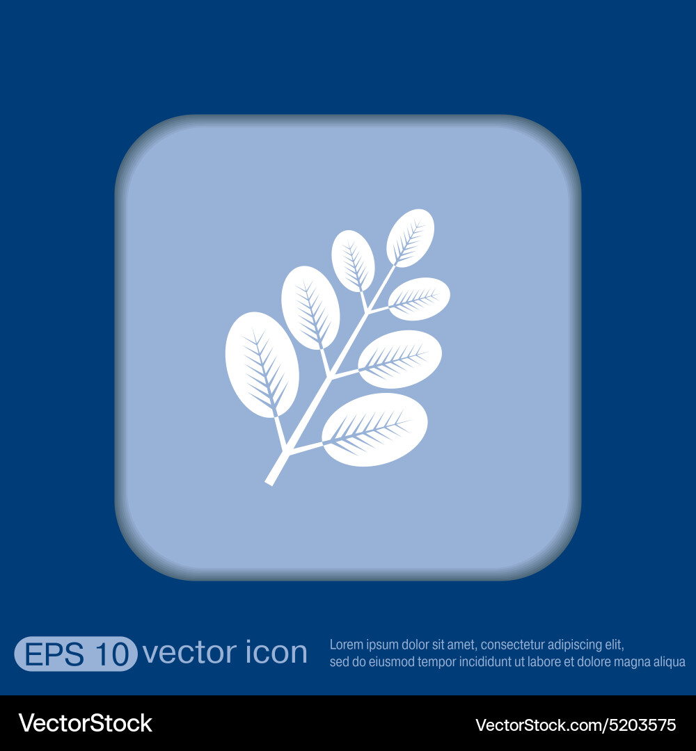 Branch with leaves symbol icon geometry teaching Vector Image