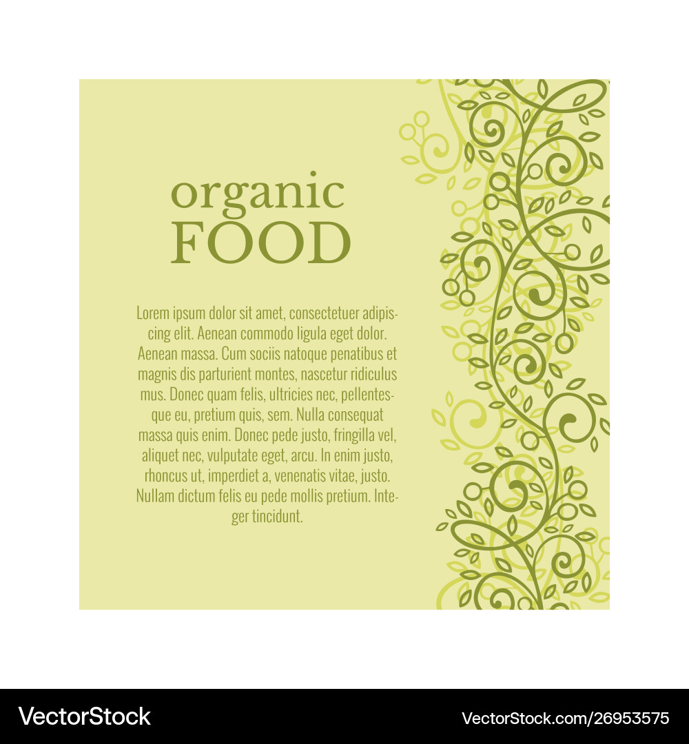 Flyer booklet poster template olive branch Vector Image