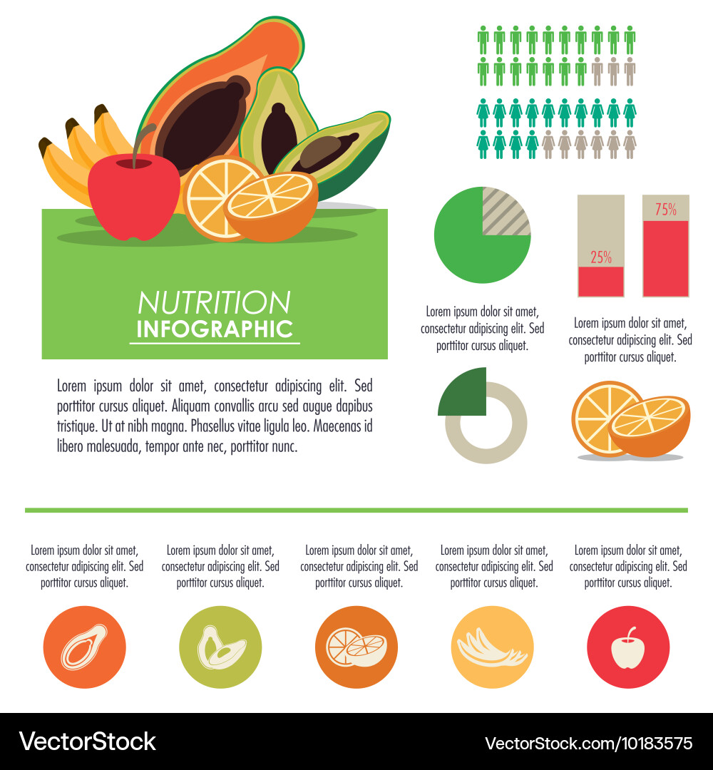 Infographic icon nutrition design graphic Vector Image