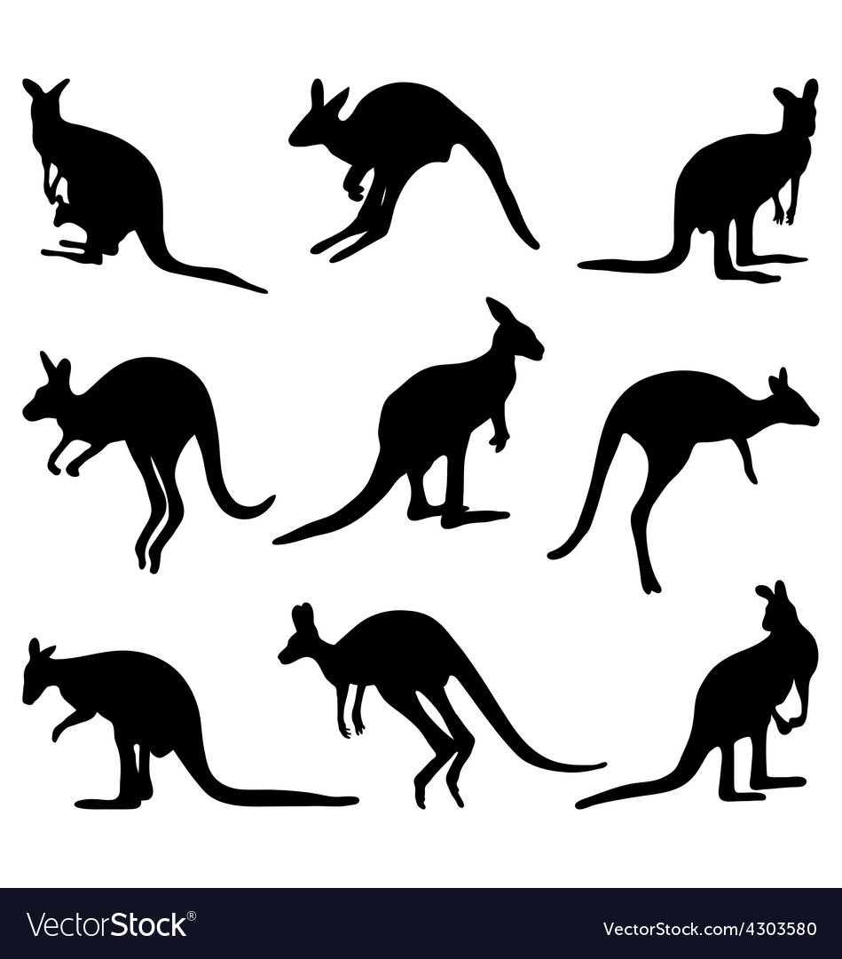 Kangaroo Royalty Free Vector Image - VectorStock