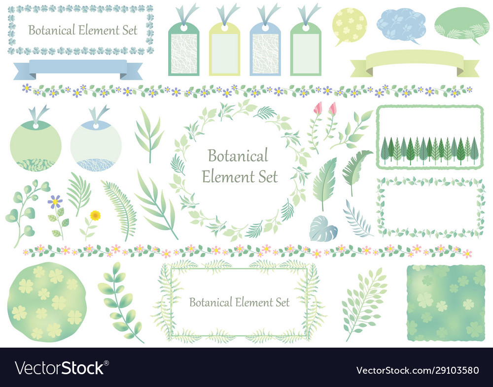 Set botanical graphic elements and frames Vector Image