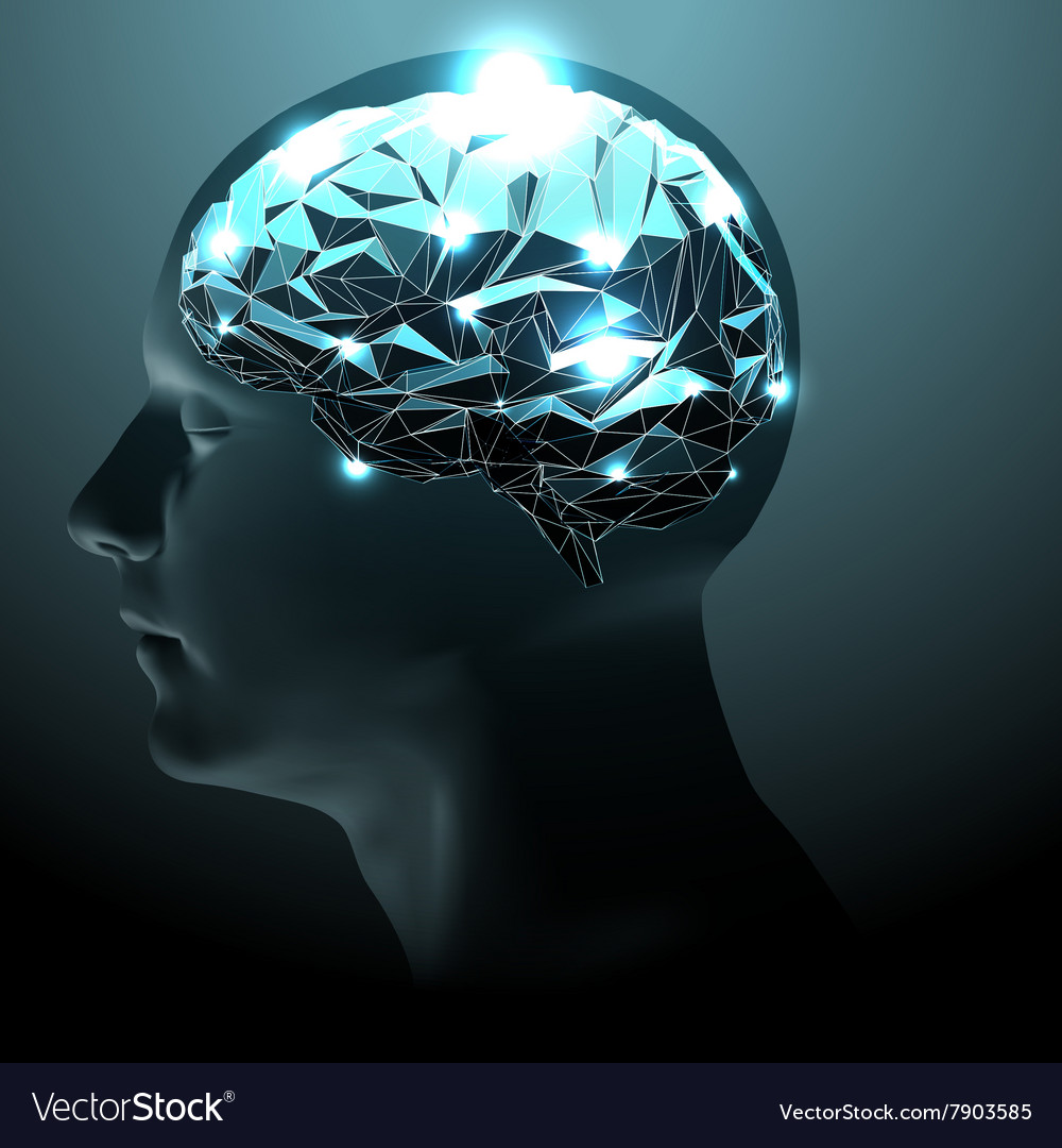 Active human brain Royalty Free Vector Image - VectorStock