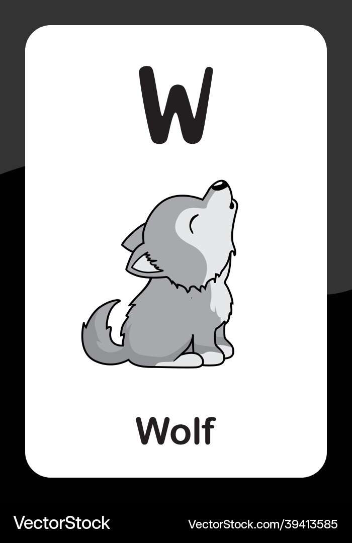 Animal alphabet flash card - w for wolf Royalty Free Vector