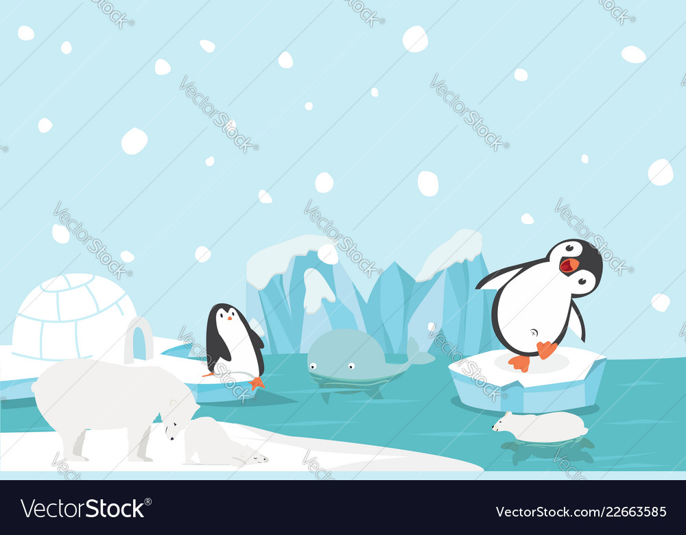 Artic animal north pole arctic landscape Vector Image