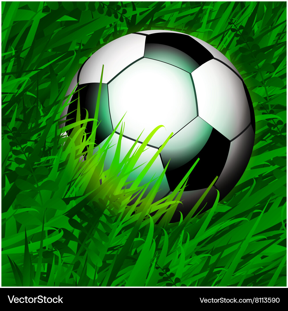 Football over close up grass Royalty Free Vector Image