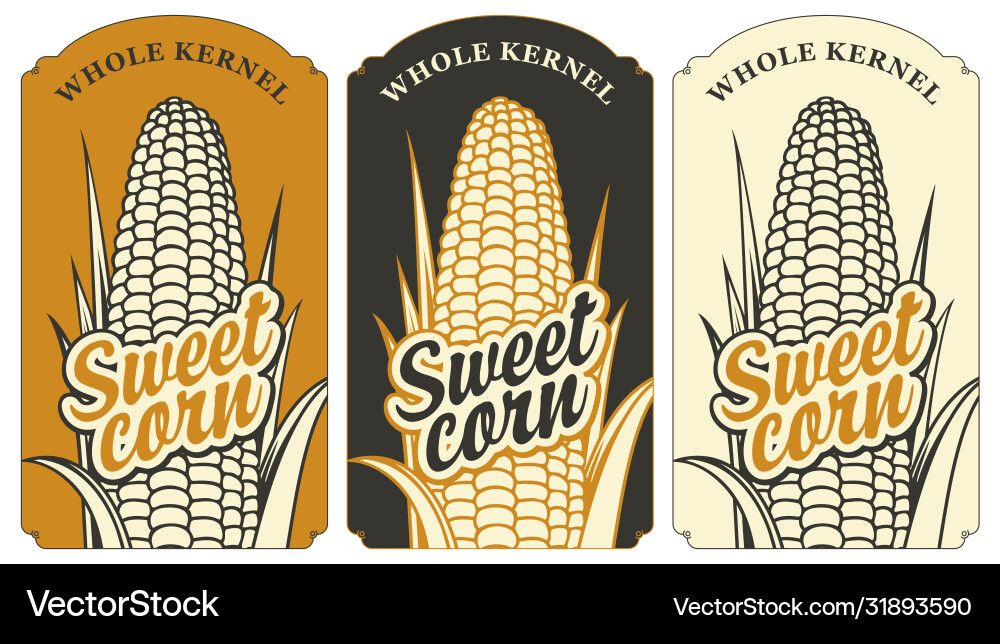 Set labels for sweet corn in retro style Vector Image