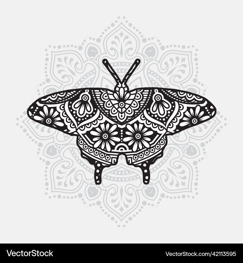 Insect mandala line art style boho style Vector Image