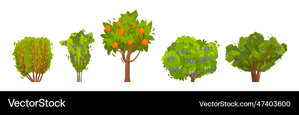Fruit and berry tree and bush with green crown Vector Image