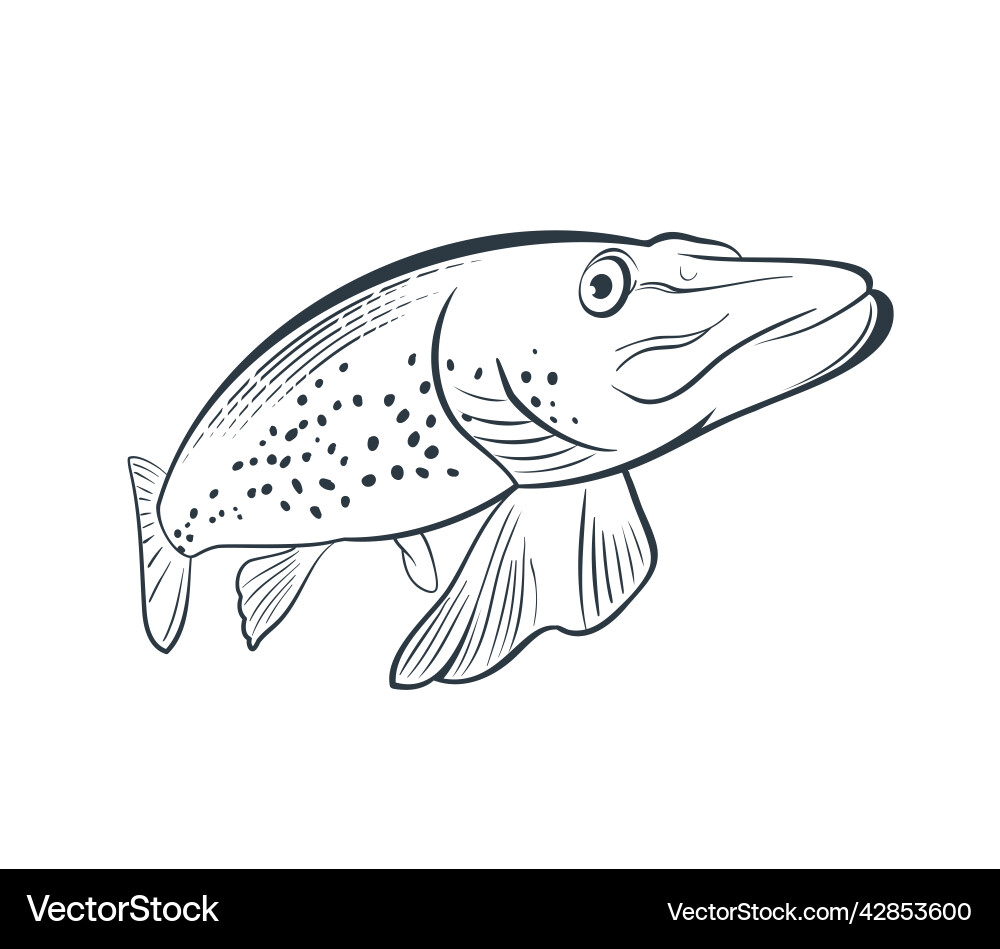 Northern Pike Coloring Page
