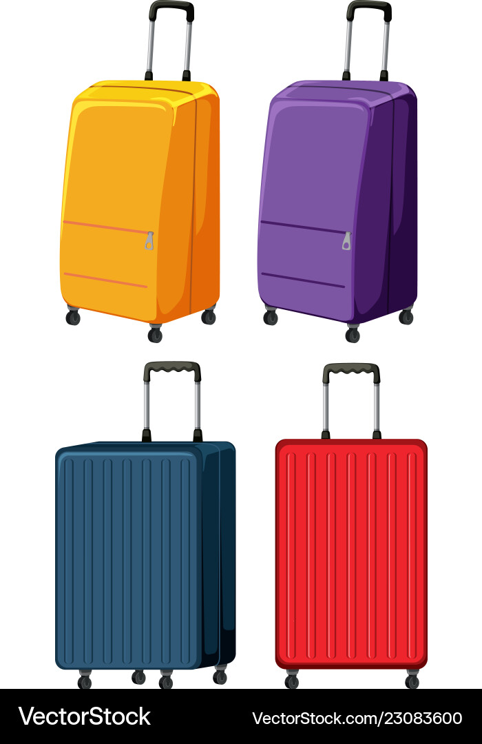 Set of different luggage Royalty Free Vector Image