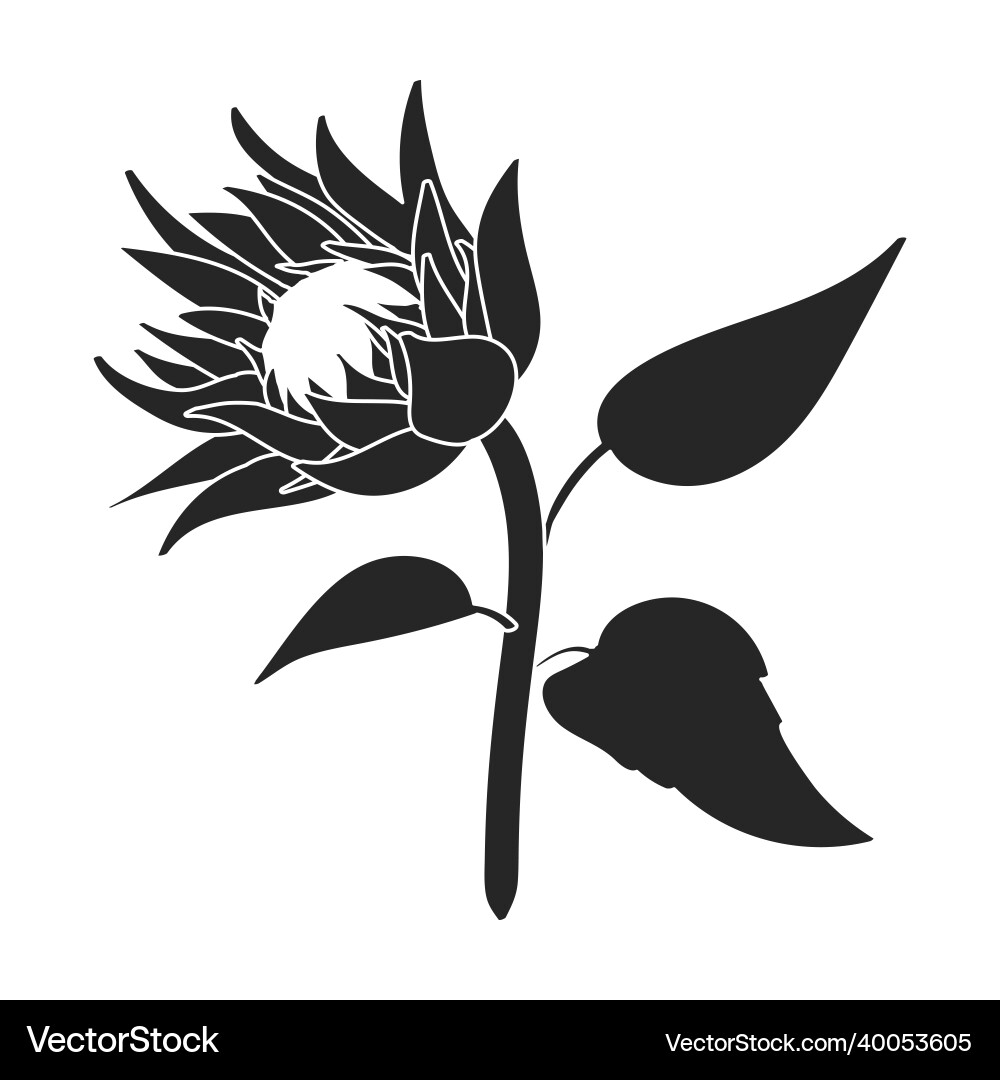 Sunflower iconblack icon isolated Royalty Free Vector Image