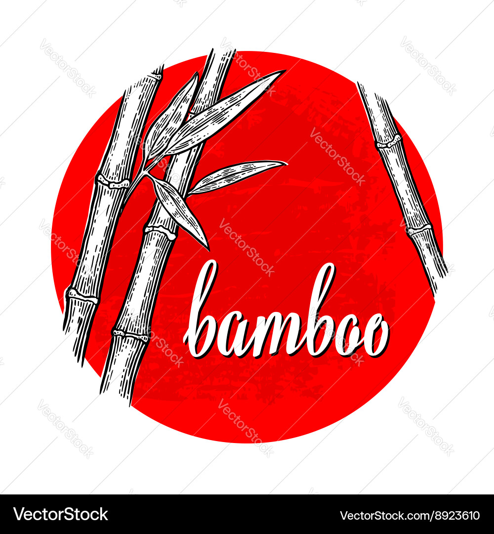 Bamboo trees white silhouettes and black outline Vector Image