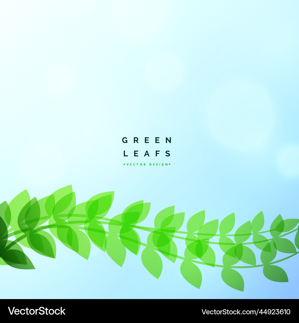 Beautiful green leaf eco nature background Vector Image