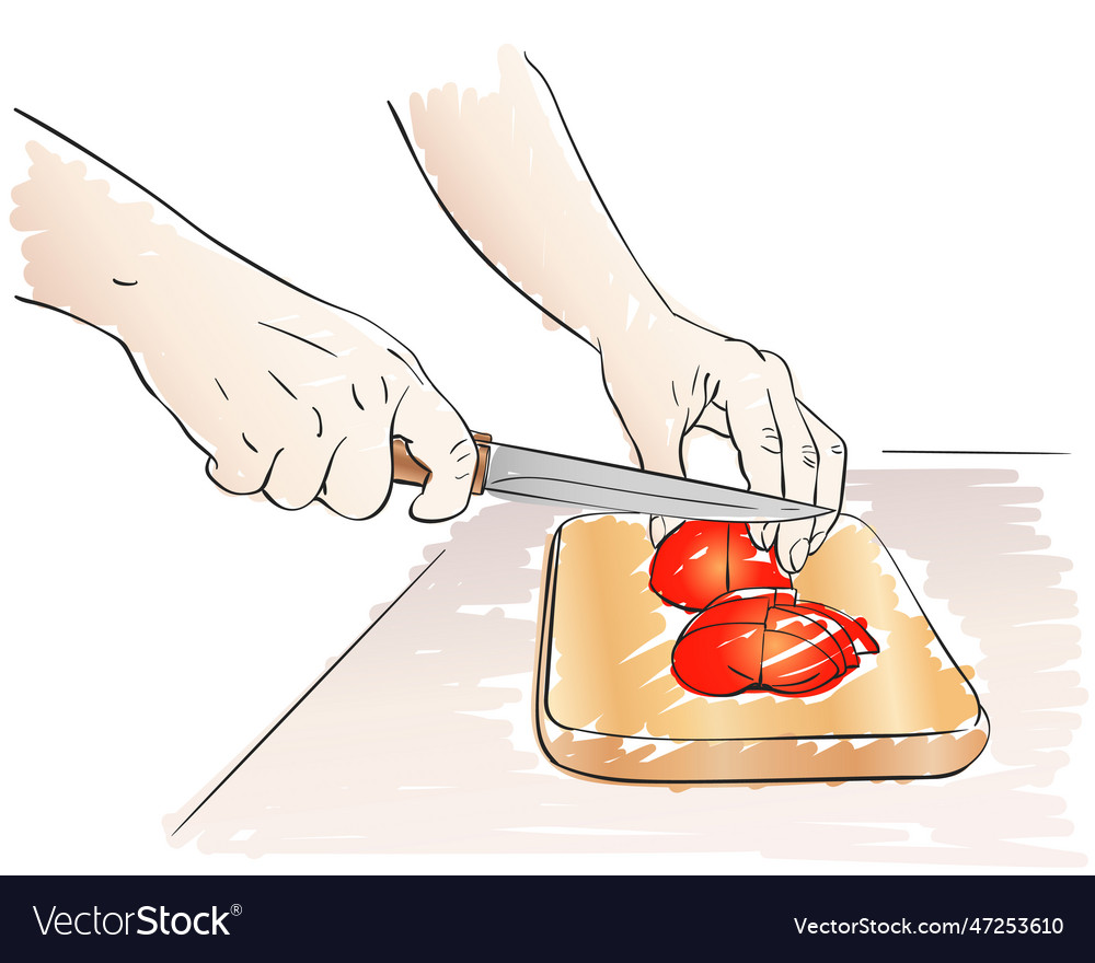 Cutting vegetables Royalty Free Vector Image - VectorStock