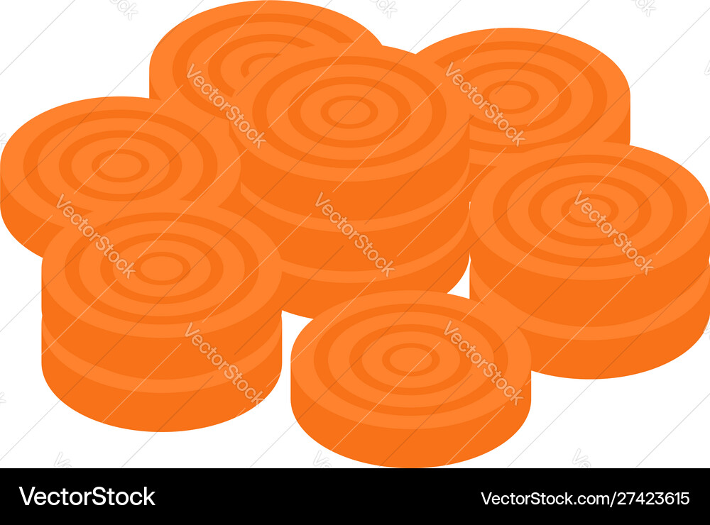 Carrot circle slices icon isometric style Vector Image