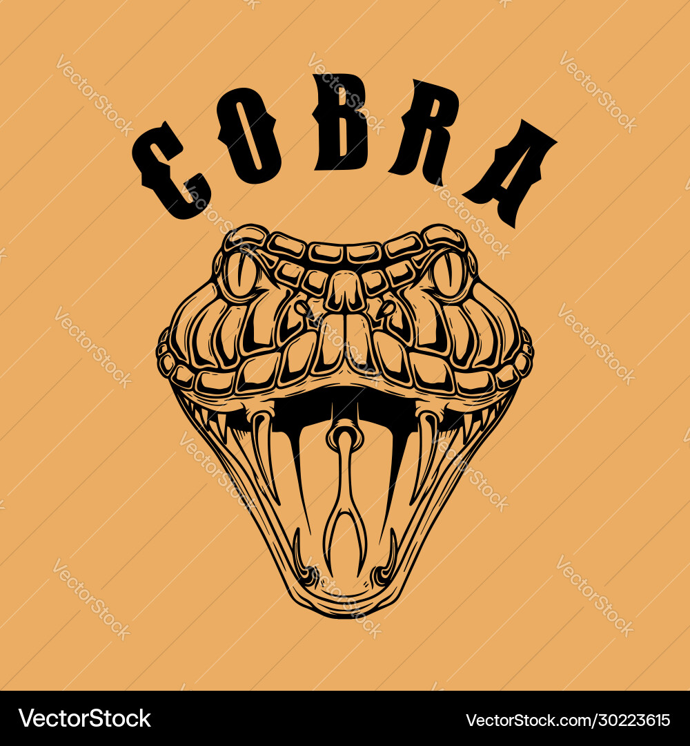 Cobra snake design element for logo label sign Vector Image