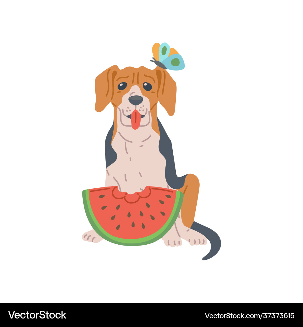 Cute dog sitting with slice watermelon flat Vector Image