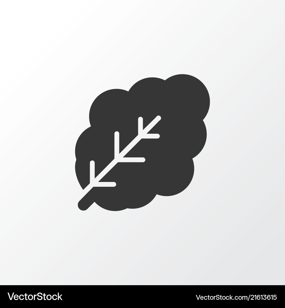 Spinach icon symbol premium quality isolated leaf Vector Image