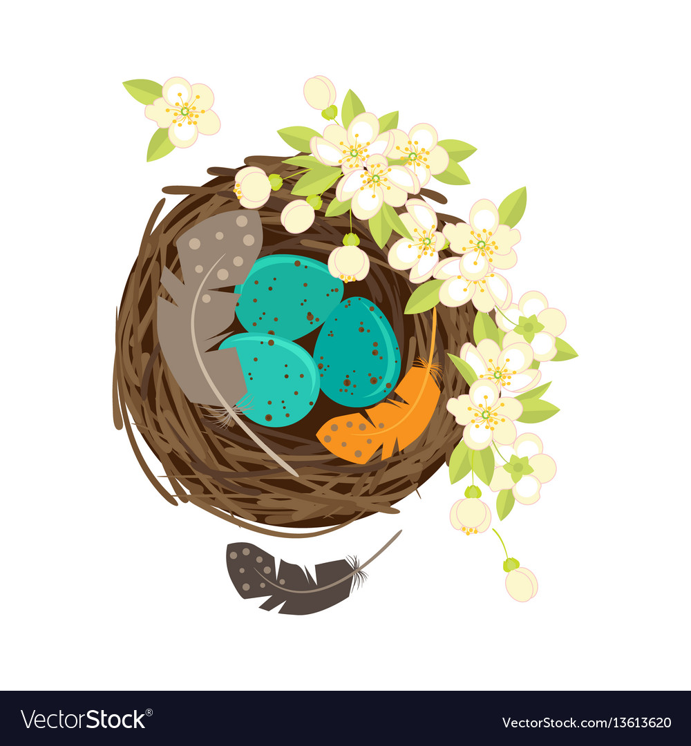 Birds nest with eggs Royalty Free Vector Image