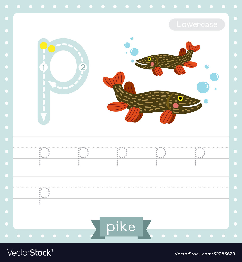 Letter p lowercase tracing practice worksheet Vector Image