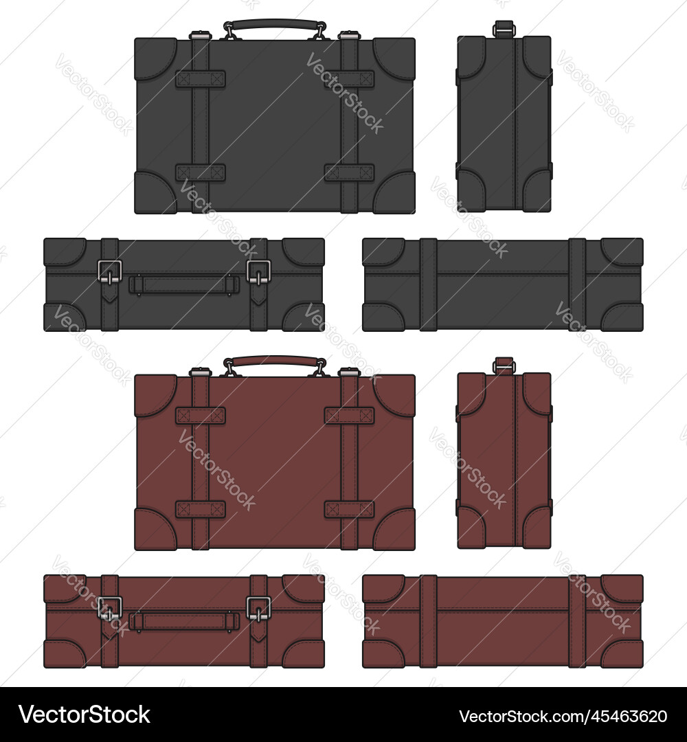 Set of with leather retro suitcase Royalty Free Vector Image