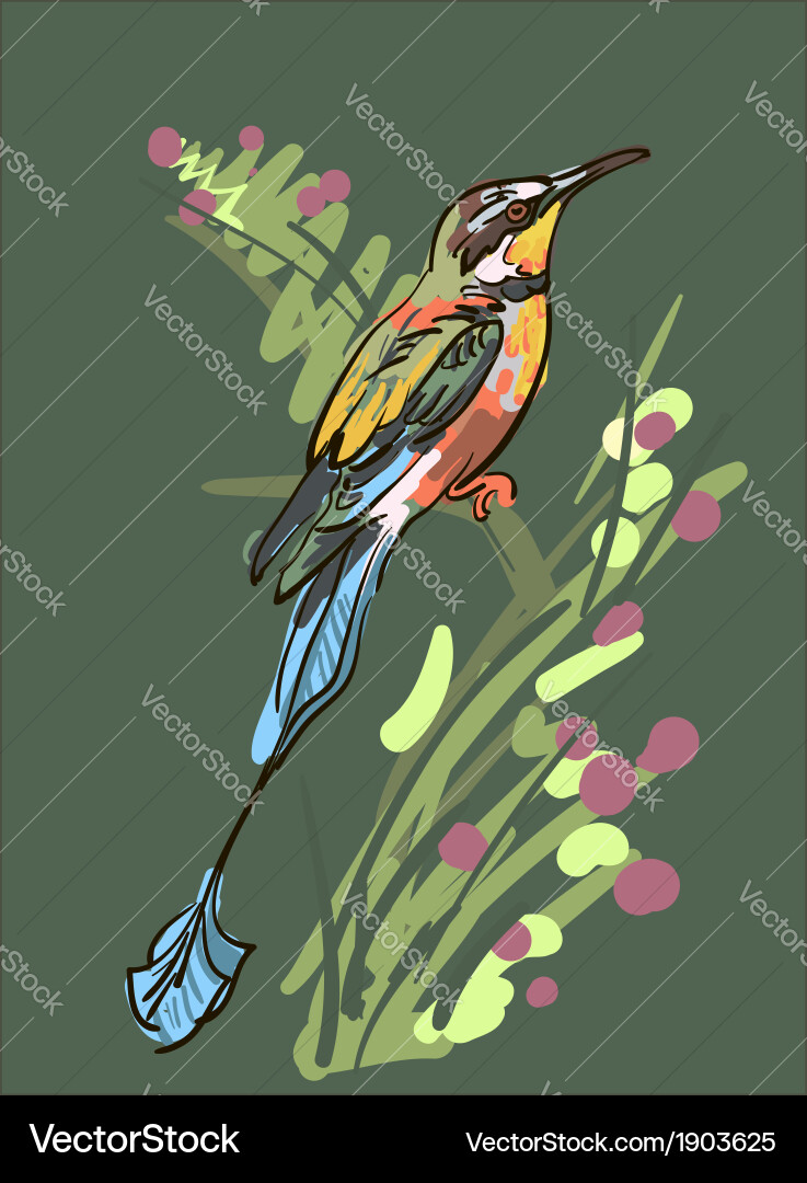 Artistic bird sketch Royalty Free Vector Image