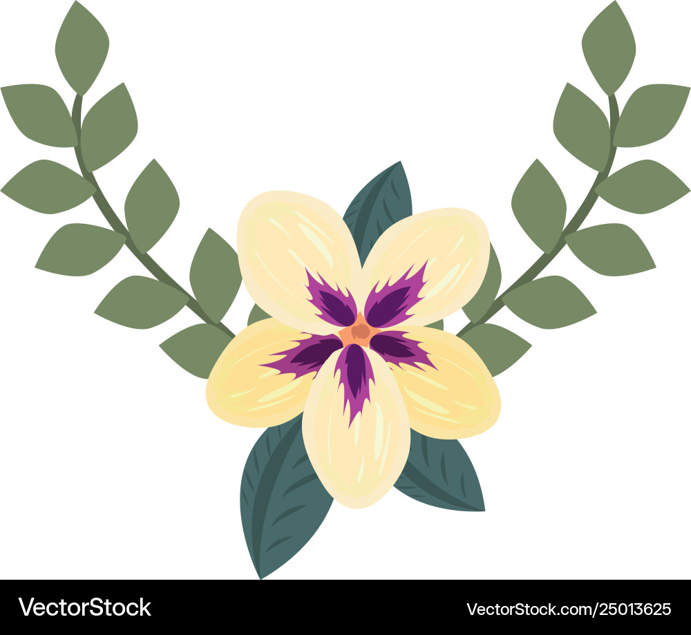Floral flowers leaves Royalty Free Vector Image